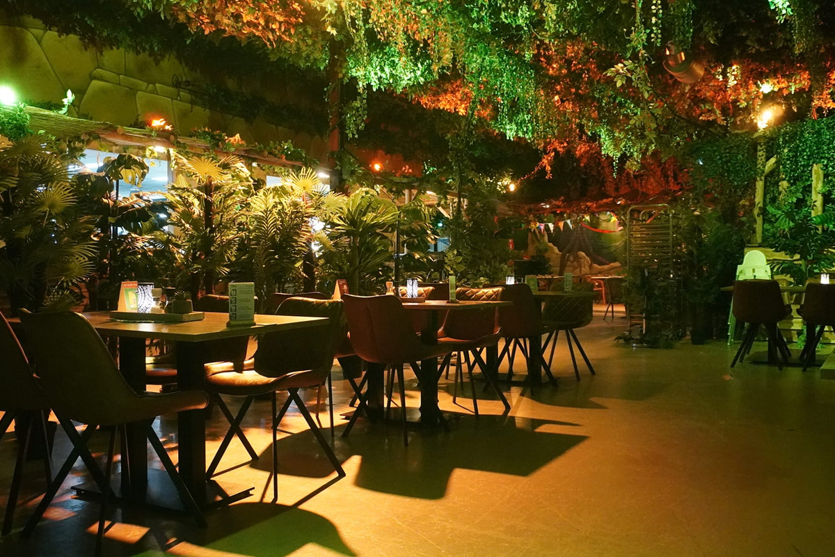 Jungle Café | Actieprijs € 19.90 (-34%) - Tripper.nl