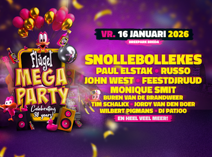 Flügel Mega Party | Actieprijs € 19,95 (-43%) - Tripper.be
